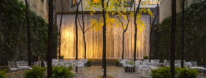 A case history: Paley Park - Watercube Design